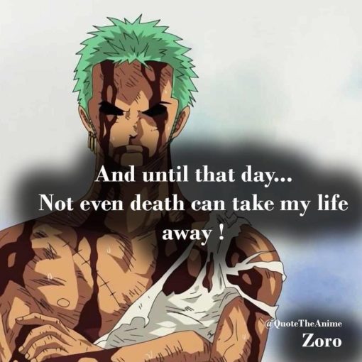 39+ Powerful One Piece Quotes that made you Cry!