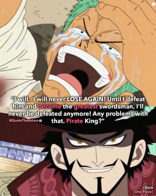 39+ Powerful One Piece Quotes that made you Cry!