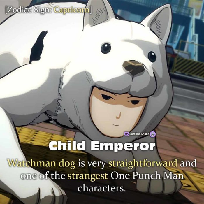 11+ One Punch Man Characters Zodiac Signs! (Find Yours!)