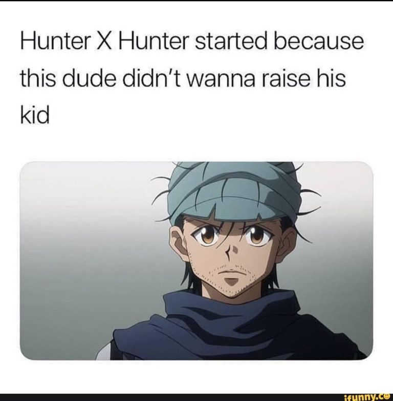 35+ HILARIOUS Hunter X Hunter Memes To Make Your Day! | Quote The Anime
