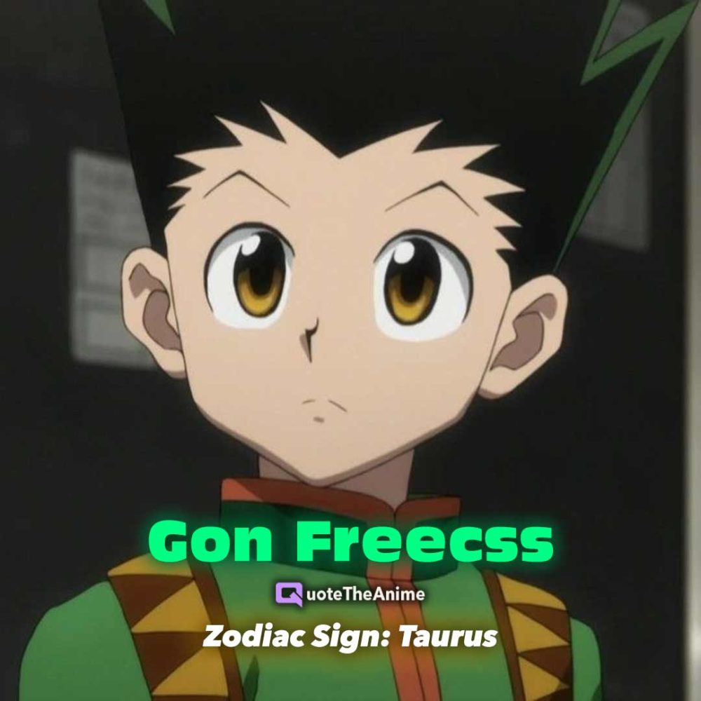 13+ HUNTER x HUNTER Zodiac Signs of Characters!