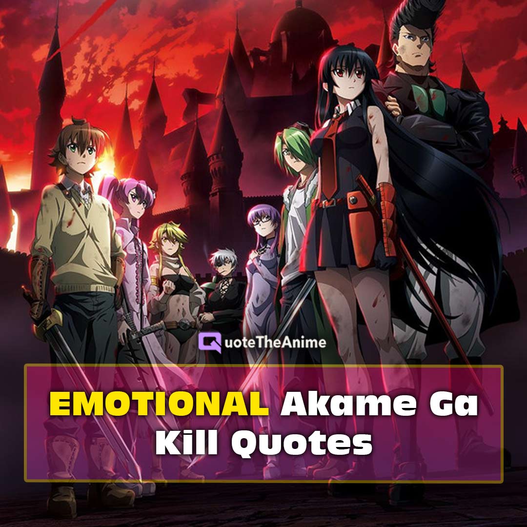 23+ Anime Like Akame Ga Kill (MUST WATCH!) | QTA