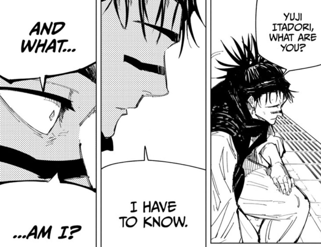 Choso | Jujutsu Kaisen Wiki (INFO)