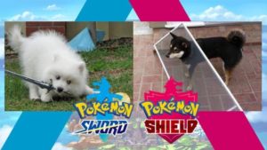 107+ Pokemon Memes That Will Make your Day