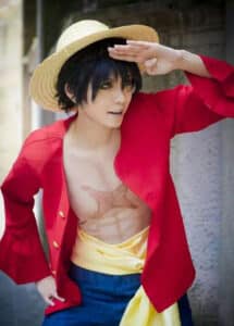 25+ Best One Piece Cosplays!! (REALISTIC with links) - QTA